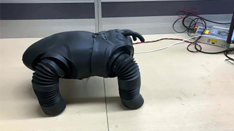 Computational Design of Skinned Quad-Robots | Huamin Wang