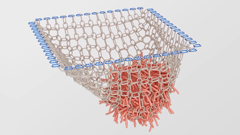 Second-Order Stencil Descent for Interior-Point Hyperelasticity ...